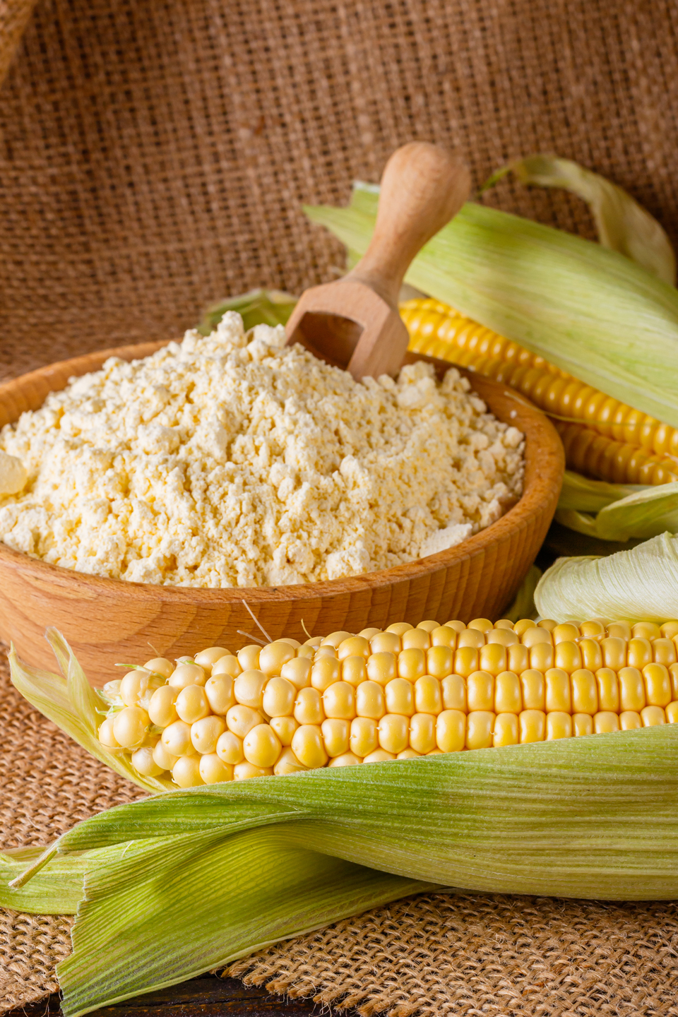 Senwes | A Leading Agribusiness in South Africa